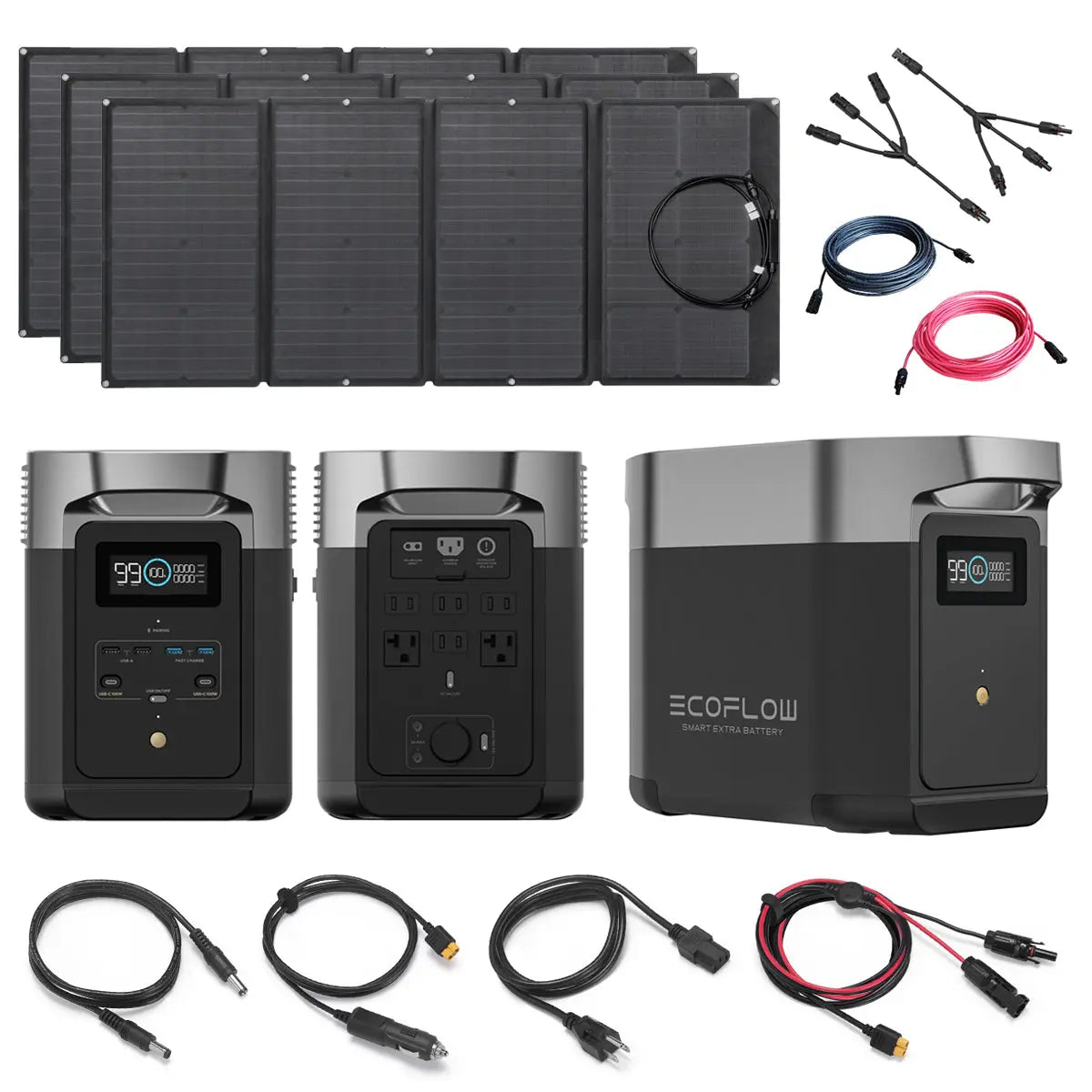 Delta 2 with Delta Max Extra Battery 3000 Wh | 480 Watts of ...